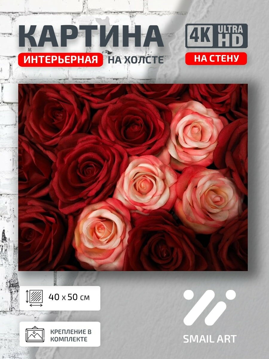 Картина на холсте интерьерная 40 на 50 на стену Белые розы для студии атмосфера