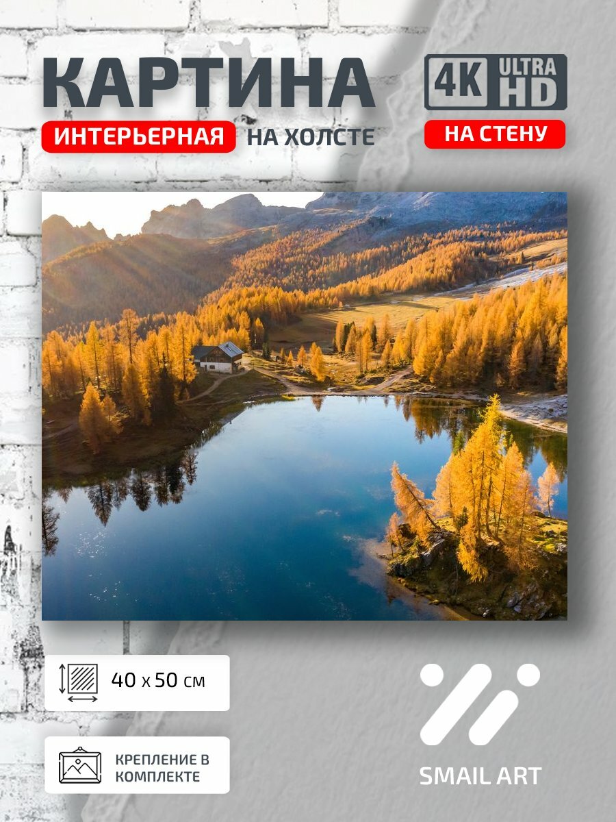 Картина на холсте интерьерная 40 на 50 на стену Деревья Landscape для офиса пейзаж интерьер