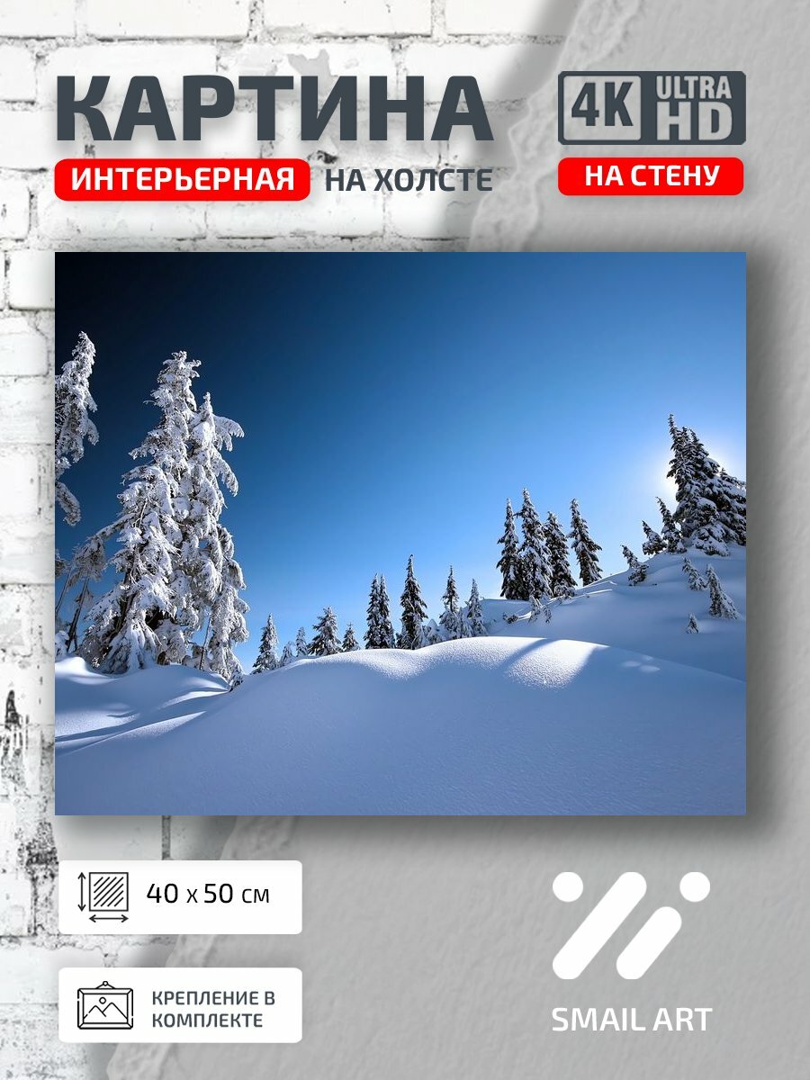 Картина на холсте интерьерная 40 на 50 на стену Зима Landscape для гостиной пейзаж интерьер