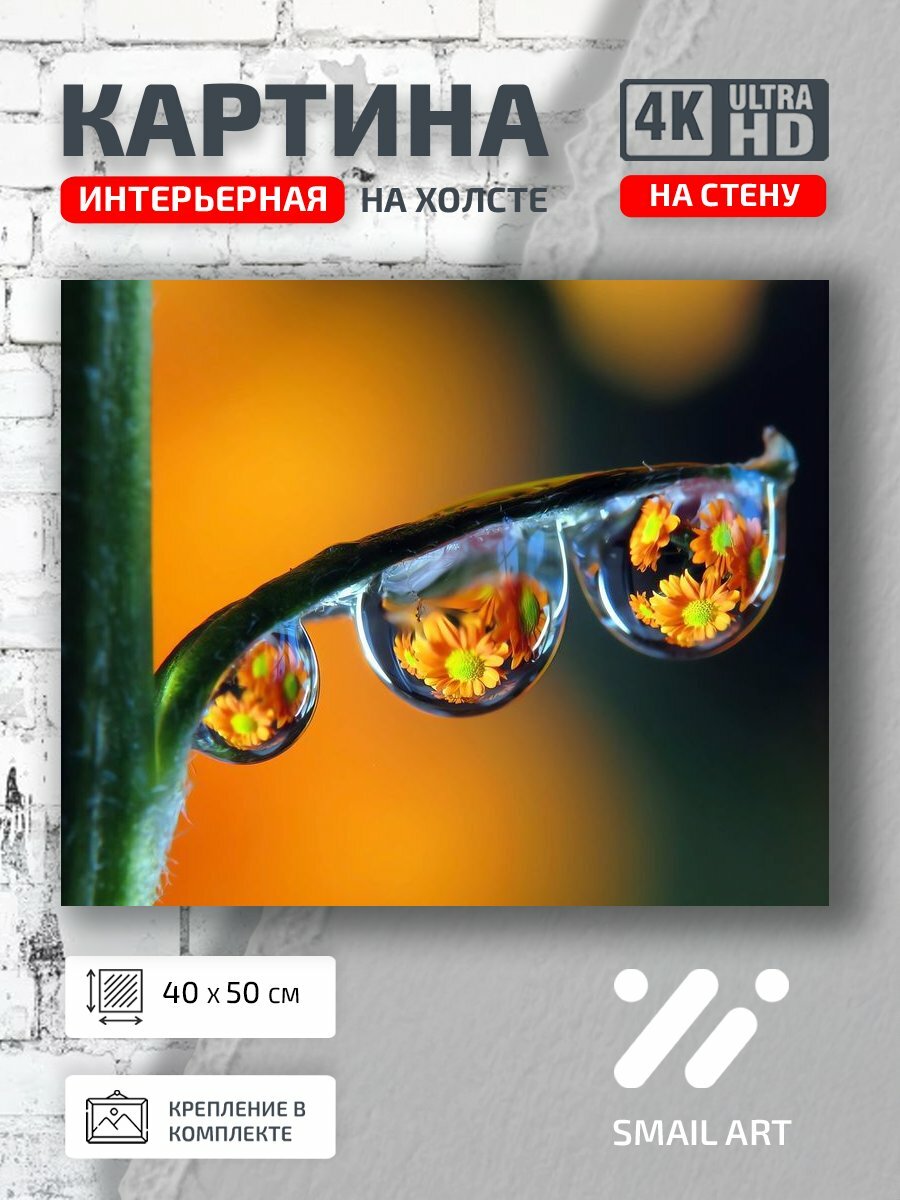 Картина на холсте интерьерная 40 на 50 на стену Каплях Landscape для кабинета пейзаж декор