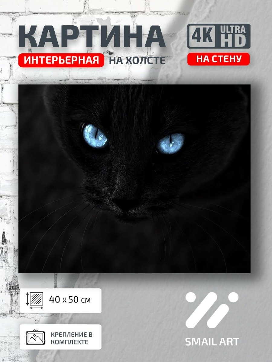 Картина на холсте интерьерная 40 на 50 на стену black cat для спальни animal style