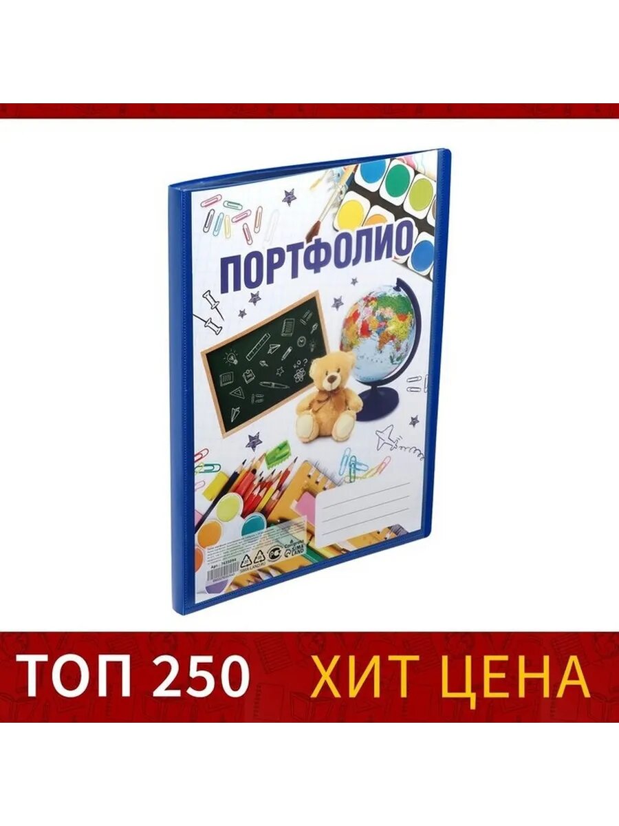 Пластиковая папка-портфолио для учёбы и творчества