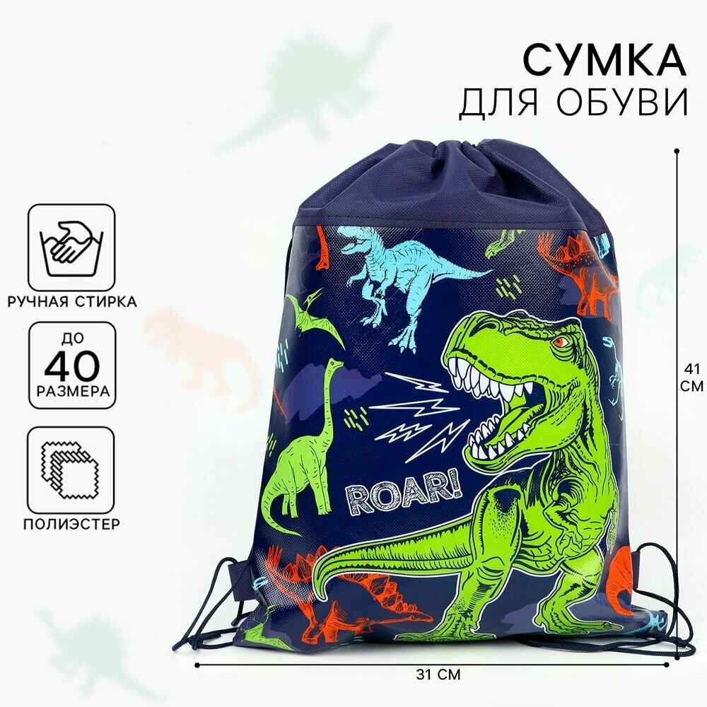 Мешок для обуви Динозавры, полиэстер, синий, 30х40 см