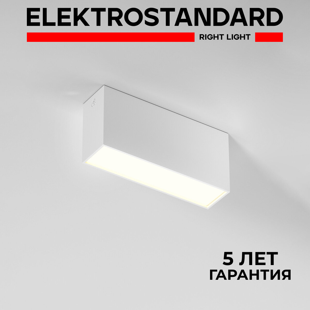 Спот / Накладной потолочный светодиодный светильник Elektrostandard Block 25109/LED, 10 Вт, 3000 K, цвет белый