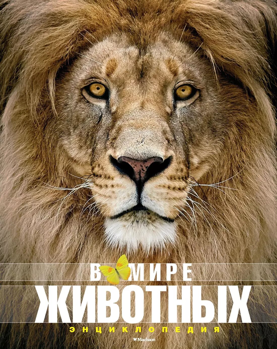 В мире животных