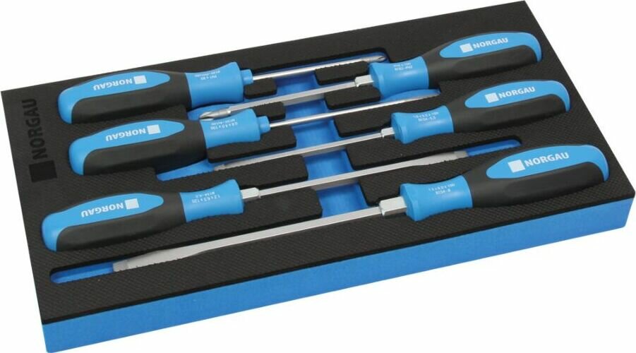 Набор крестовых и шлицевых отверток NORGAU Industrial PH+SL из CrMoV стали с двухкомпонентной рукояткой в ложементе, 6 шт