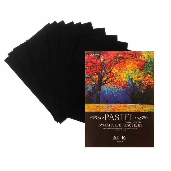 Бумага для пастели deVENTE А4, 10 листов, 160 г/м2, черная, в пакете