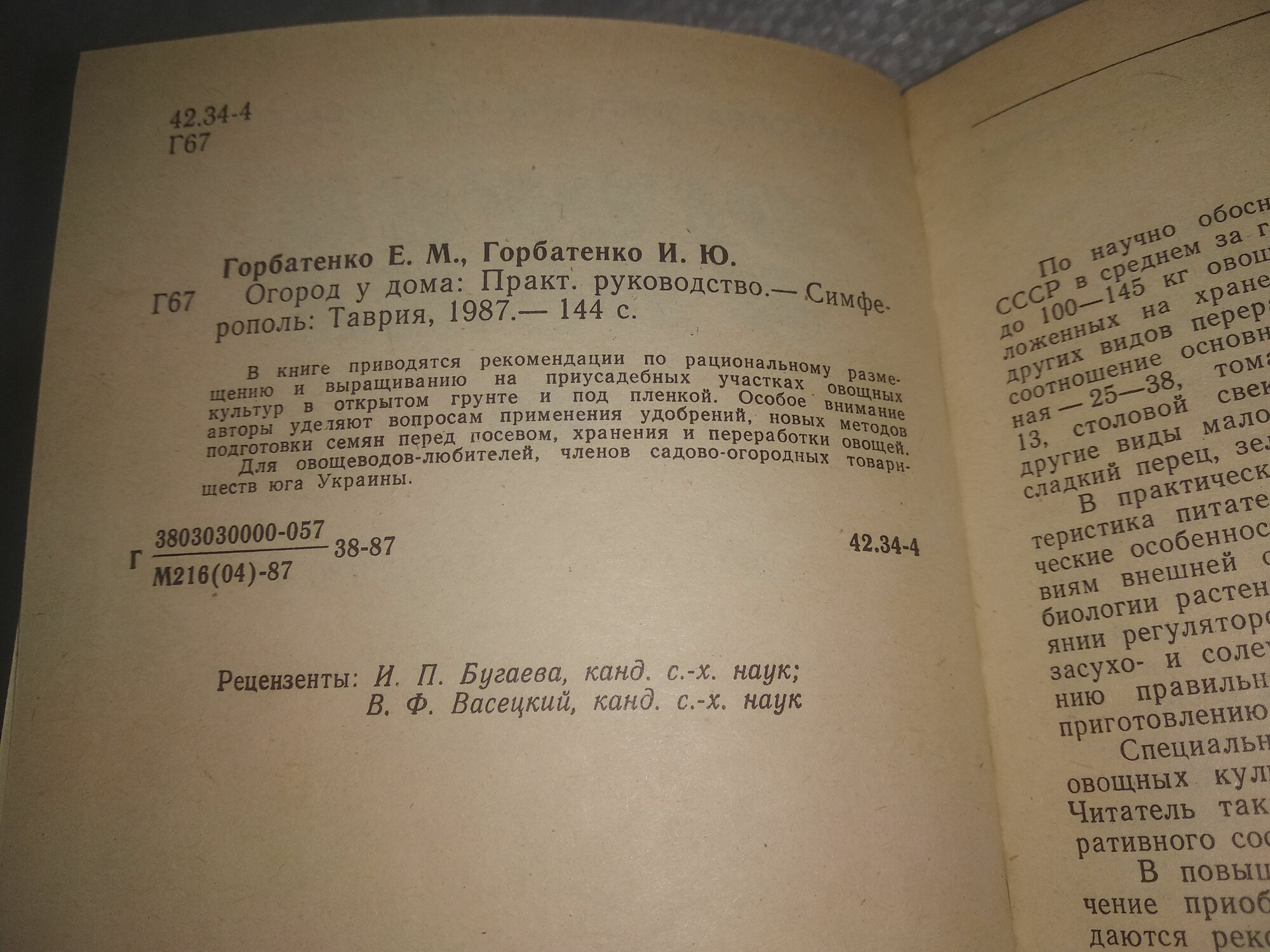 Огород у дома. Горбатенко Е. М, Горбатенко И. Ю. — фото 1