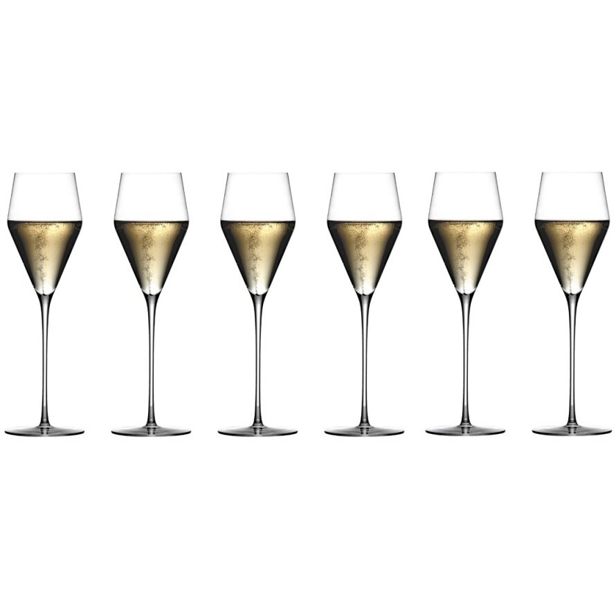 6 бокалов для шампанского Zalto Denk'Art Champagne Set 11550