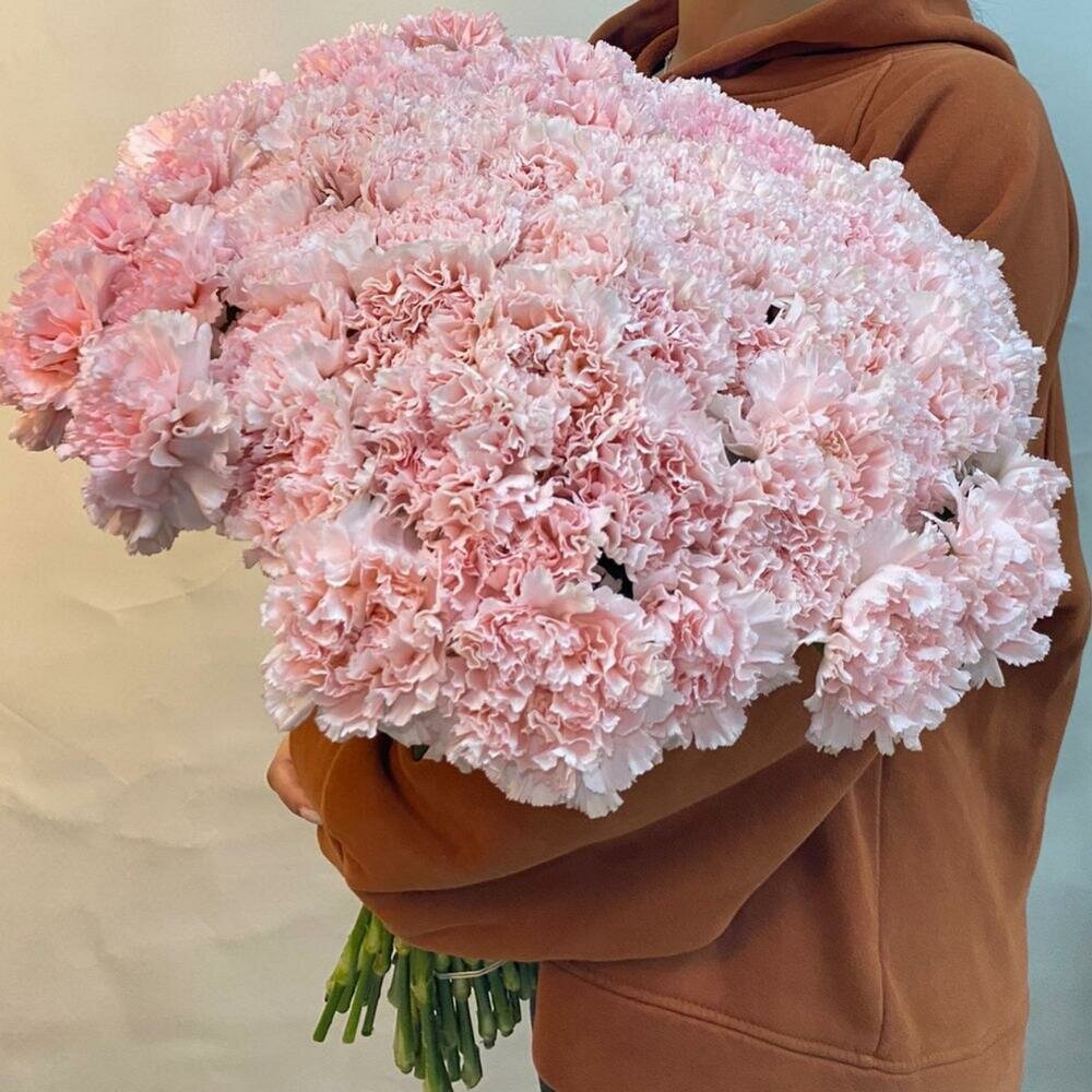 Гвоздика розовая