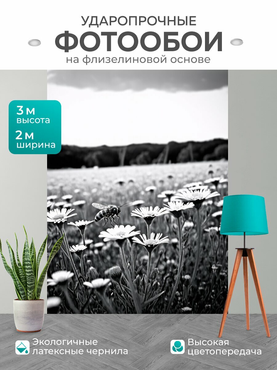 Фотообои моющиеся ударопрочные "Пейзаж пейзаж в стиле черно-белый, луга с цветами и пчелами, насекомыми" 200x300 см. флизелиновые на стену