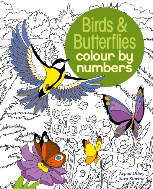 Storino, Sara "Birds & Butterflies Colour By Numbers"