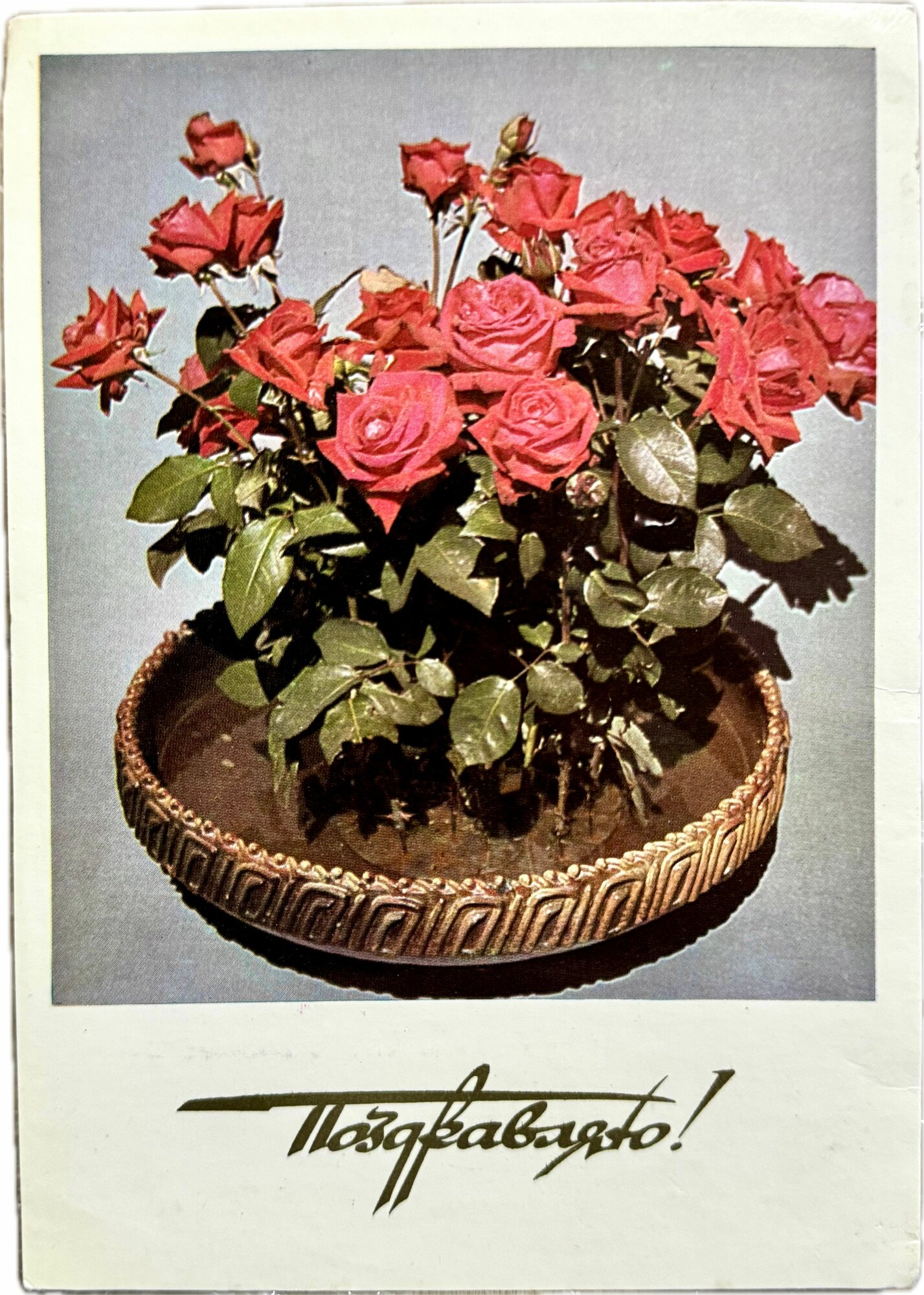 Поздравляю! (Фото Б. Подгорного)