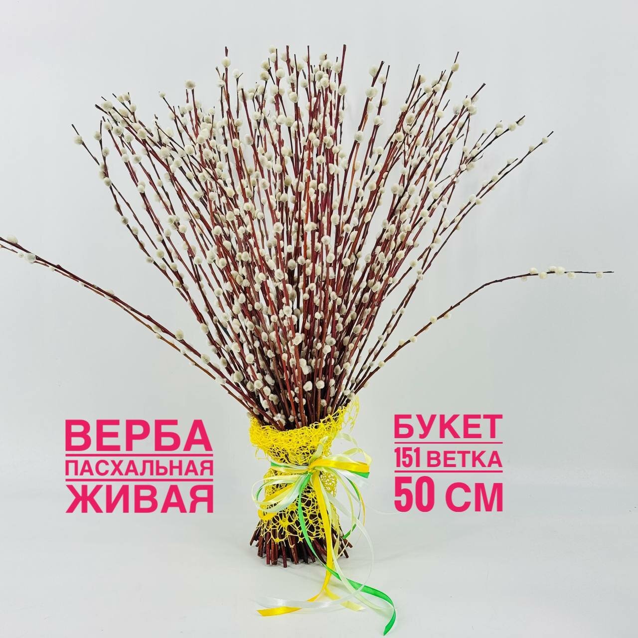 Верба живая натуральная красноталка. Вербный букет пасхальный