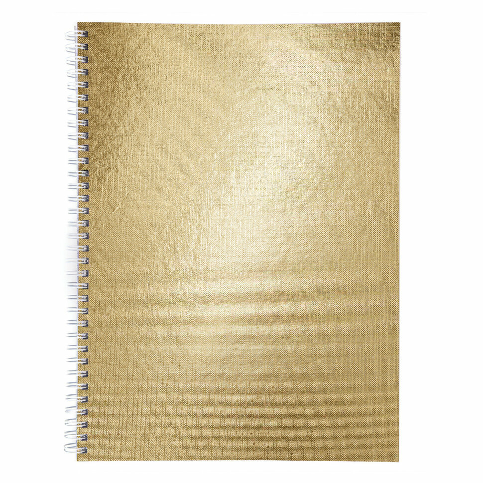 Тетрадь бумвинил А4 96 л. гребень, офсет №1, клетка, "золото Metallic", HATBER, 077197, 96Т4бвВ1гр, 405482