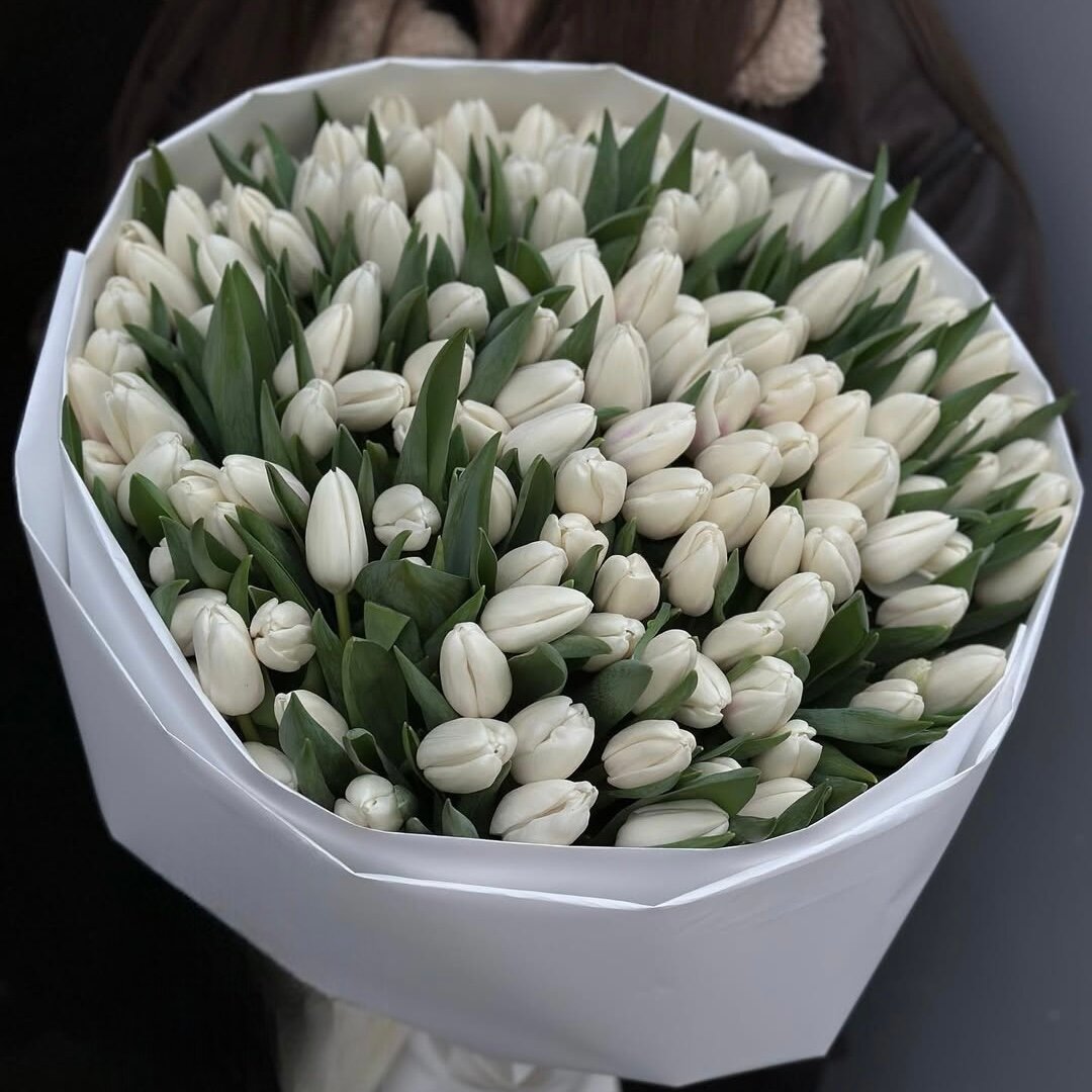 Букет из белых тюльпанов 51 шт, красивый букет цветов, шикарный, премиум цветы, премиум букет