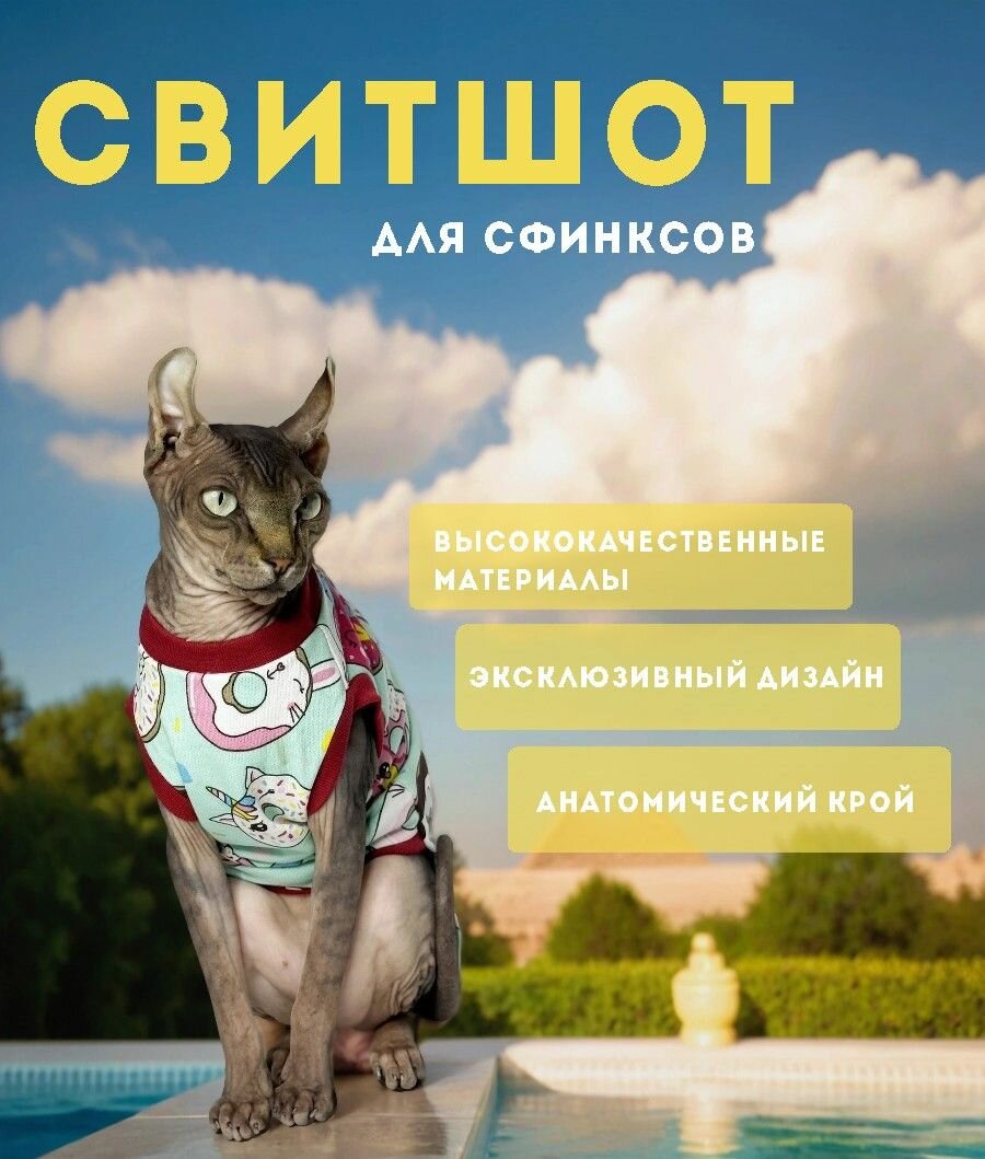 Свитшот для сфинксов Dogira футер с небольшим начесом длина по спинке31-33см