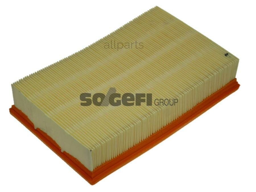 FRAM CA8919 FRAM фильтр воздушный CA8919