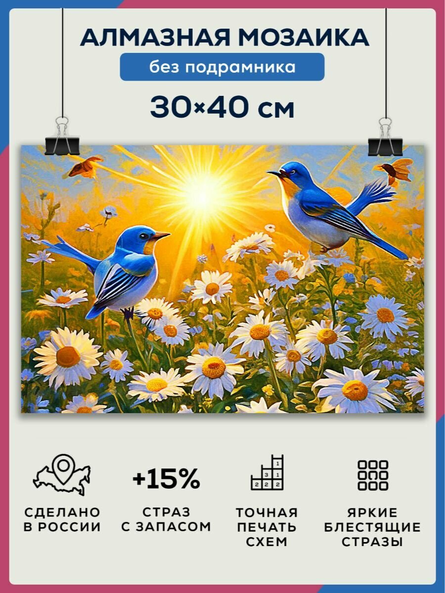 Алмазная мозаика 30x40 Поле птицы без подрамника