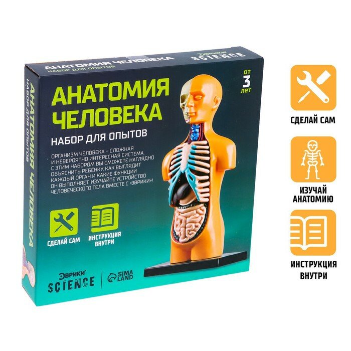 Эврики уценка Научный опыт «Анатомия человека»