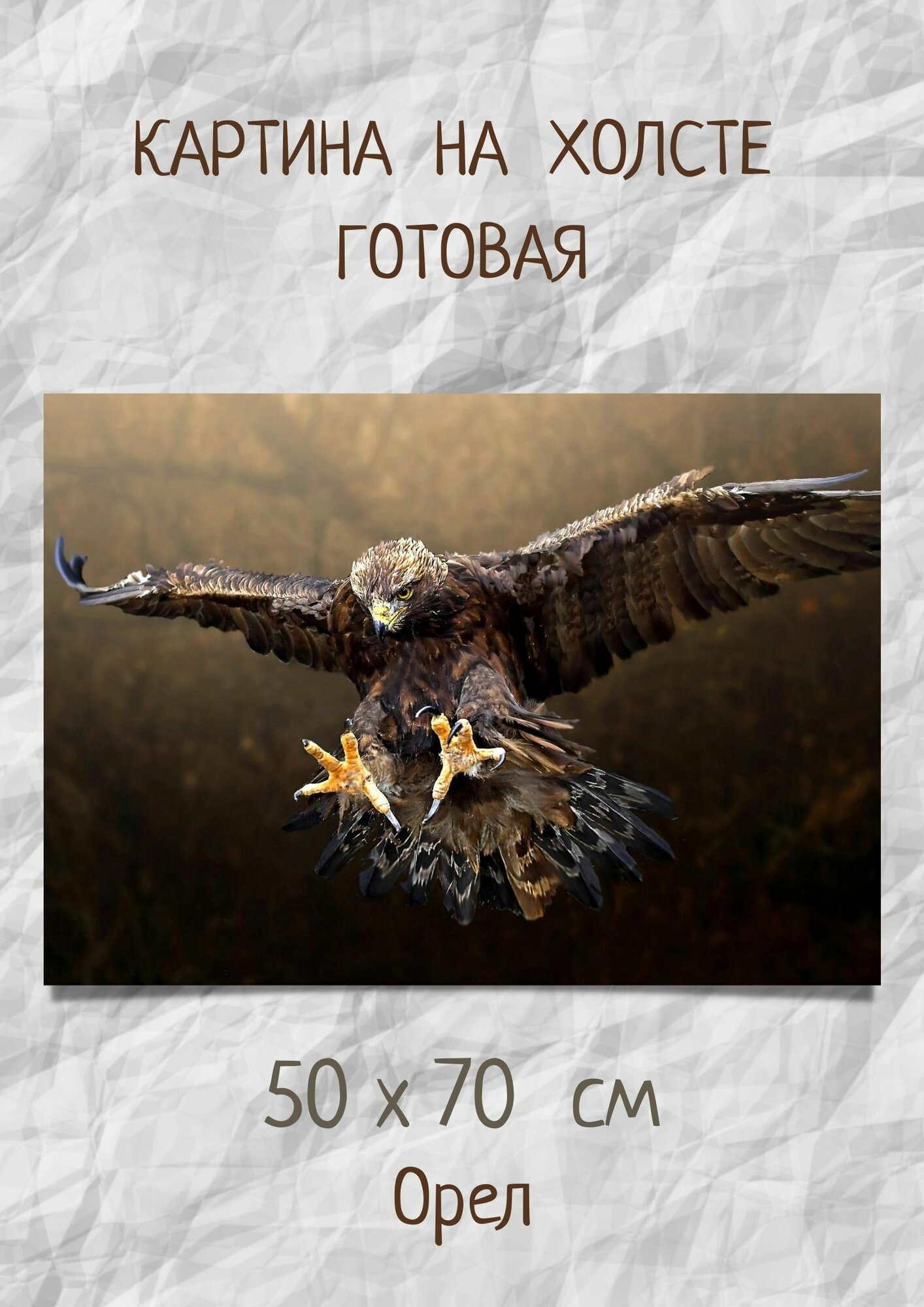 Картина Орел в небе арт изображение на холсте - Орлы 70x50