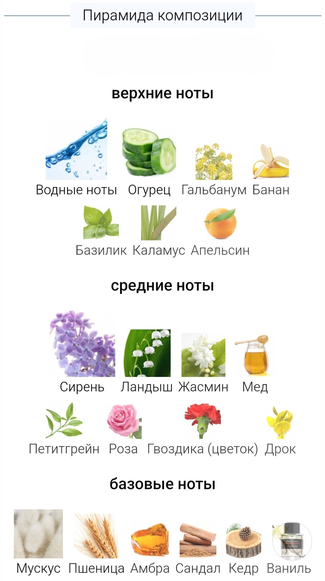 Духи ручной работы по мотивам 'En Passant', для женщин Lu Parfume — фото 1