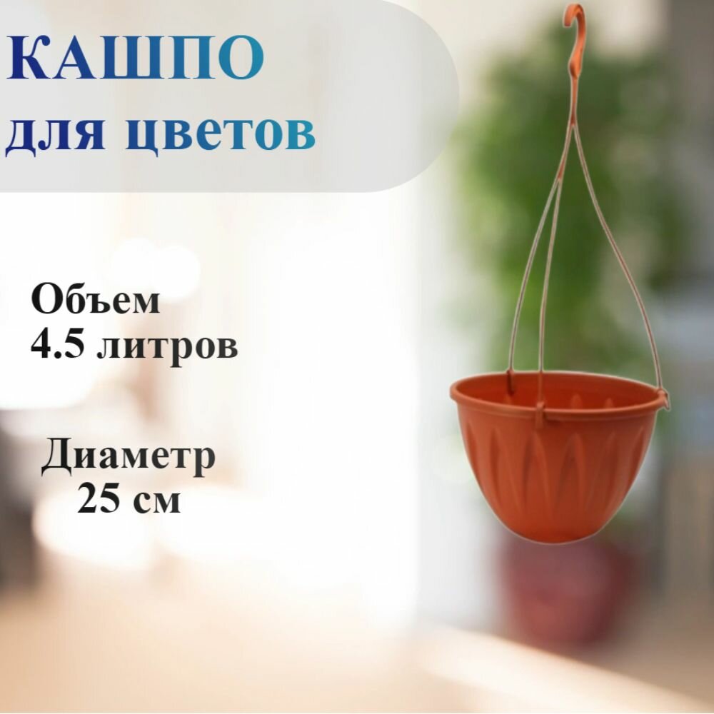 Кашпо для цветов 4.5л, диаметр 25 см - кашпо идеально подходит для выращивания изящного цветка дома или в саду. Простой и лаконичный дизайн.