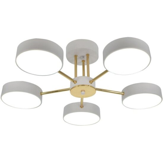 Потолочная светодиодная люстра Escada Rune 10262/5LED