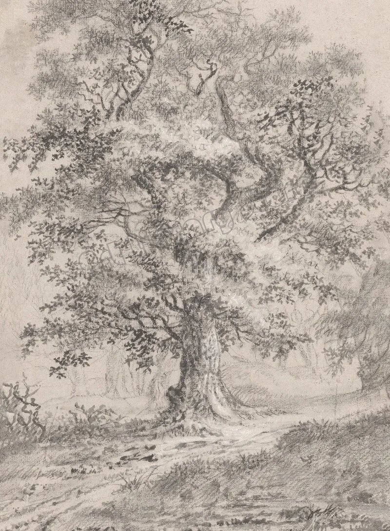 Настенная картина "Античная деревенская сосна дуб" 10, 70X100cm Unframed