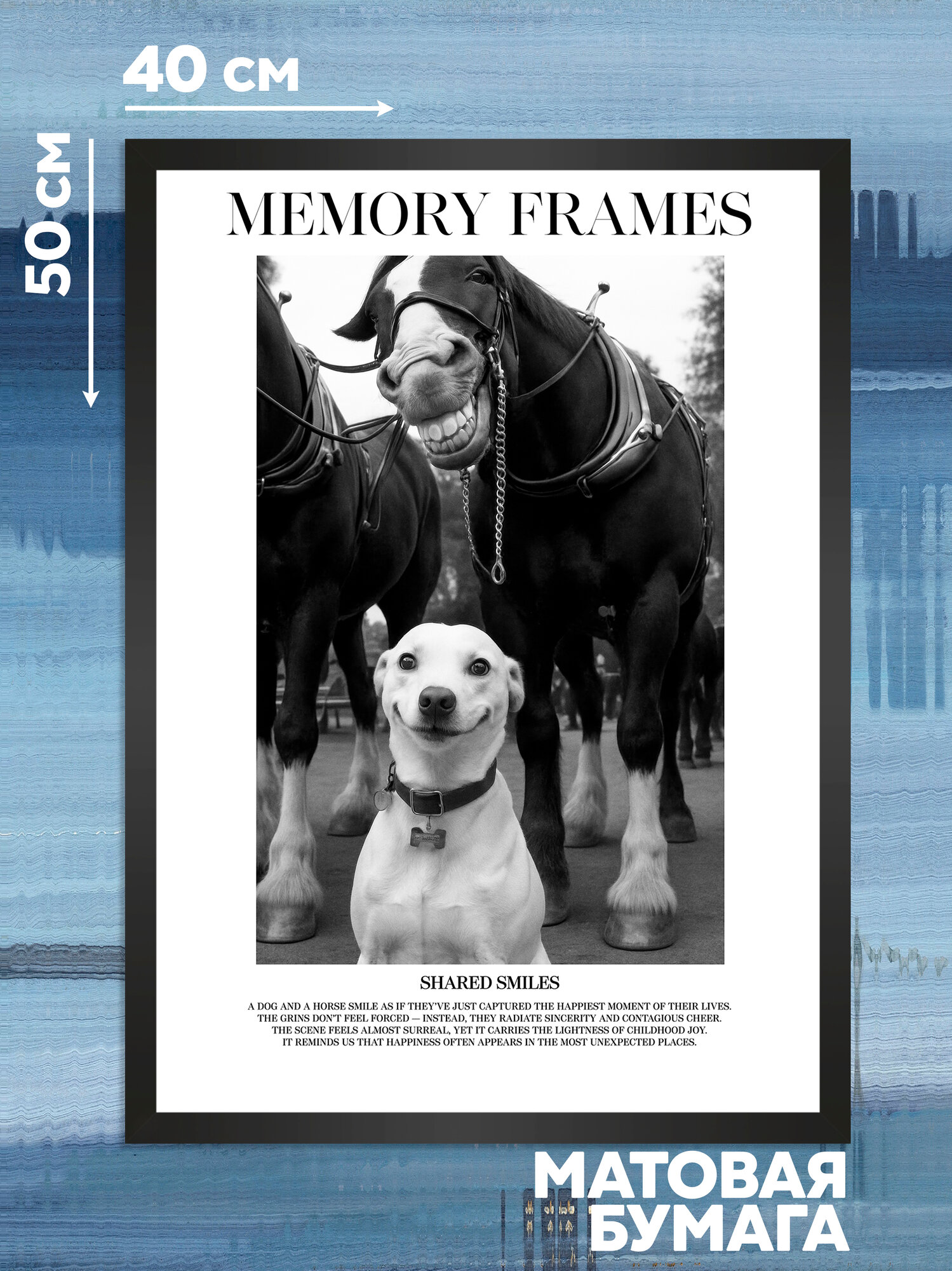 Постер фотография Собака и лошадь из серии Memory Frames - на стену принт, плакат для интерьера - Casa Paterna