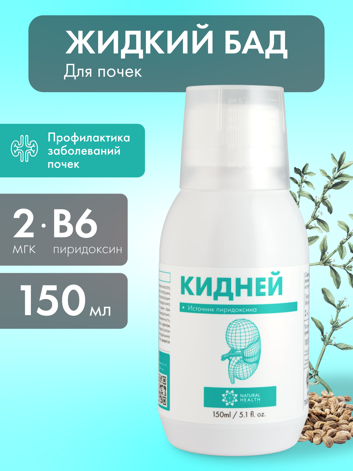 Жидкий БАД к пище Кидней для почек, кожи и здоровья нервной системы с витаминами группы B (B6, пиридоксин, листья березы, экстракт горца птичьего, экстракт семян петрушки), 150 мл