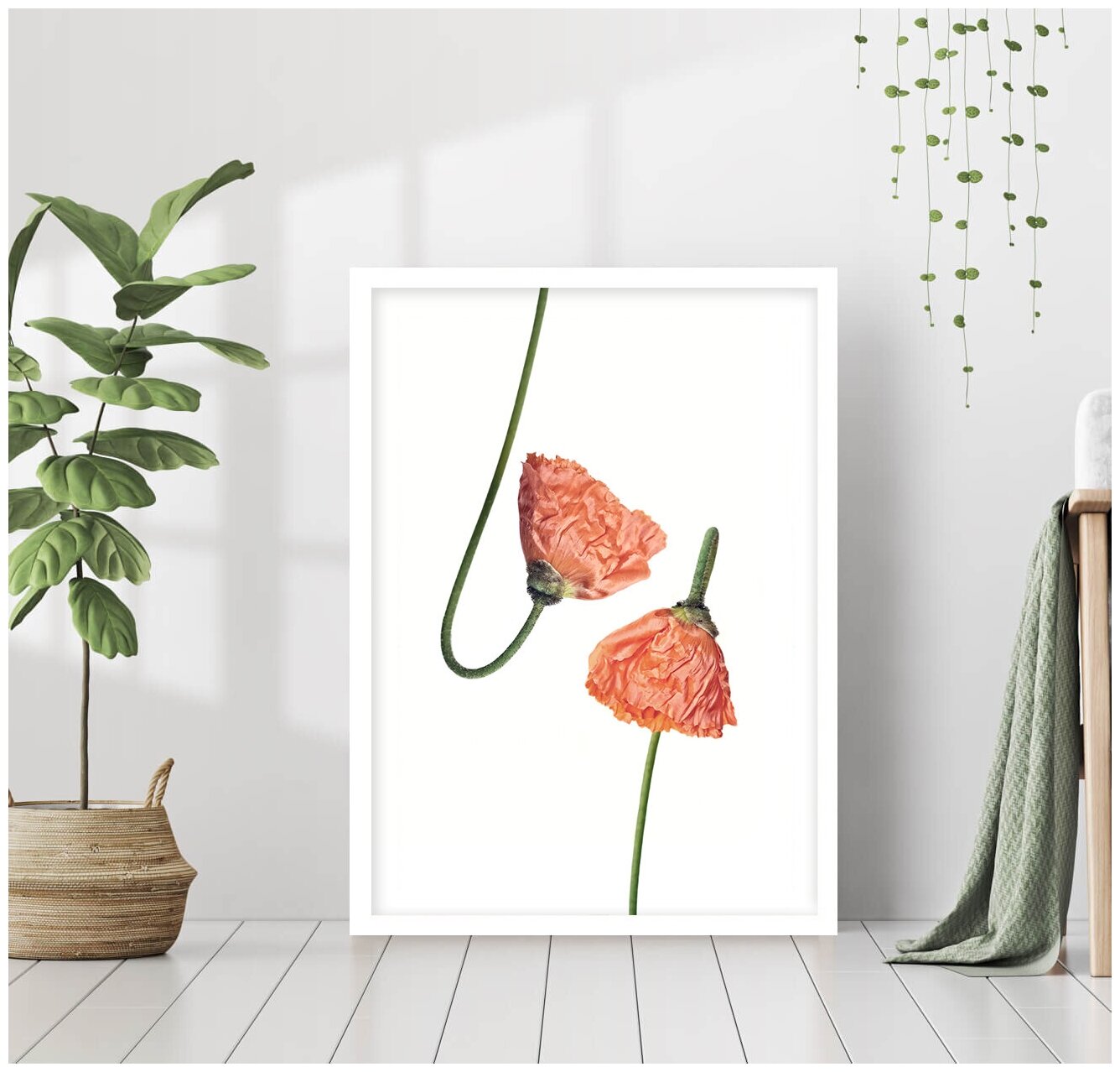 Постер "Два красных мака, рисунок" 40x50 в белой рамке на стену для интерьера
