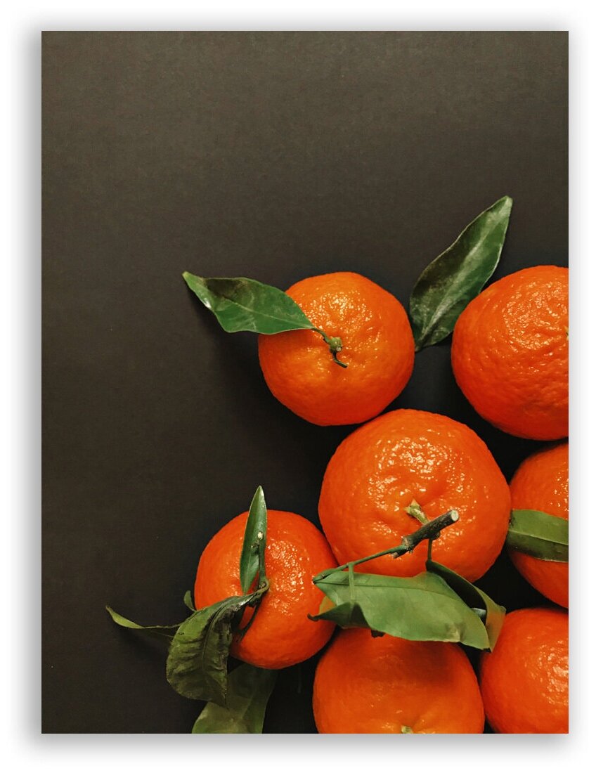 Постер на бумаге / Мандарины
