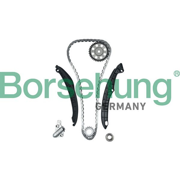 Цепь ГРМ комплект для автомобиля, BORSEHUNG B16299 (1 шт.)