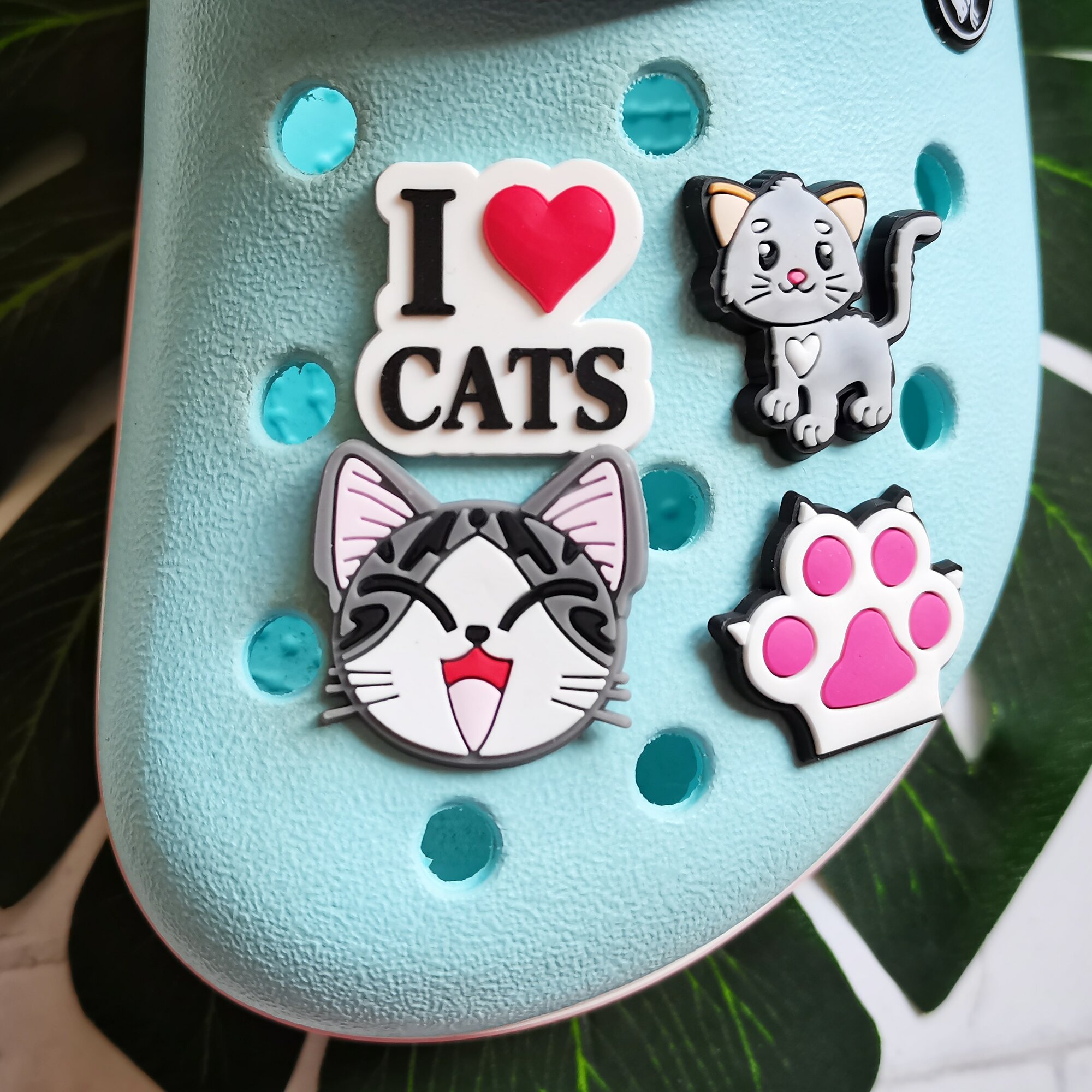 Джибитс лапка, джибитсы котики