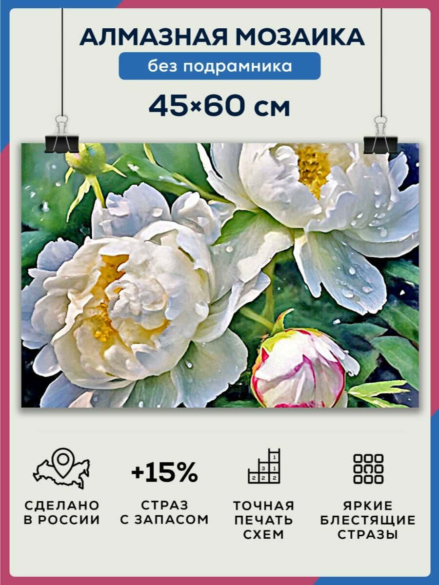 Алмазная мозаика 45x60 Белые пионы без подрамника
