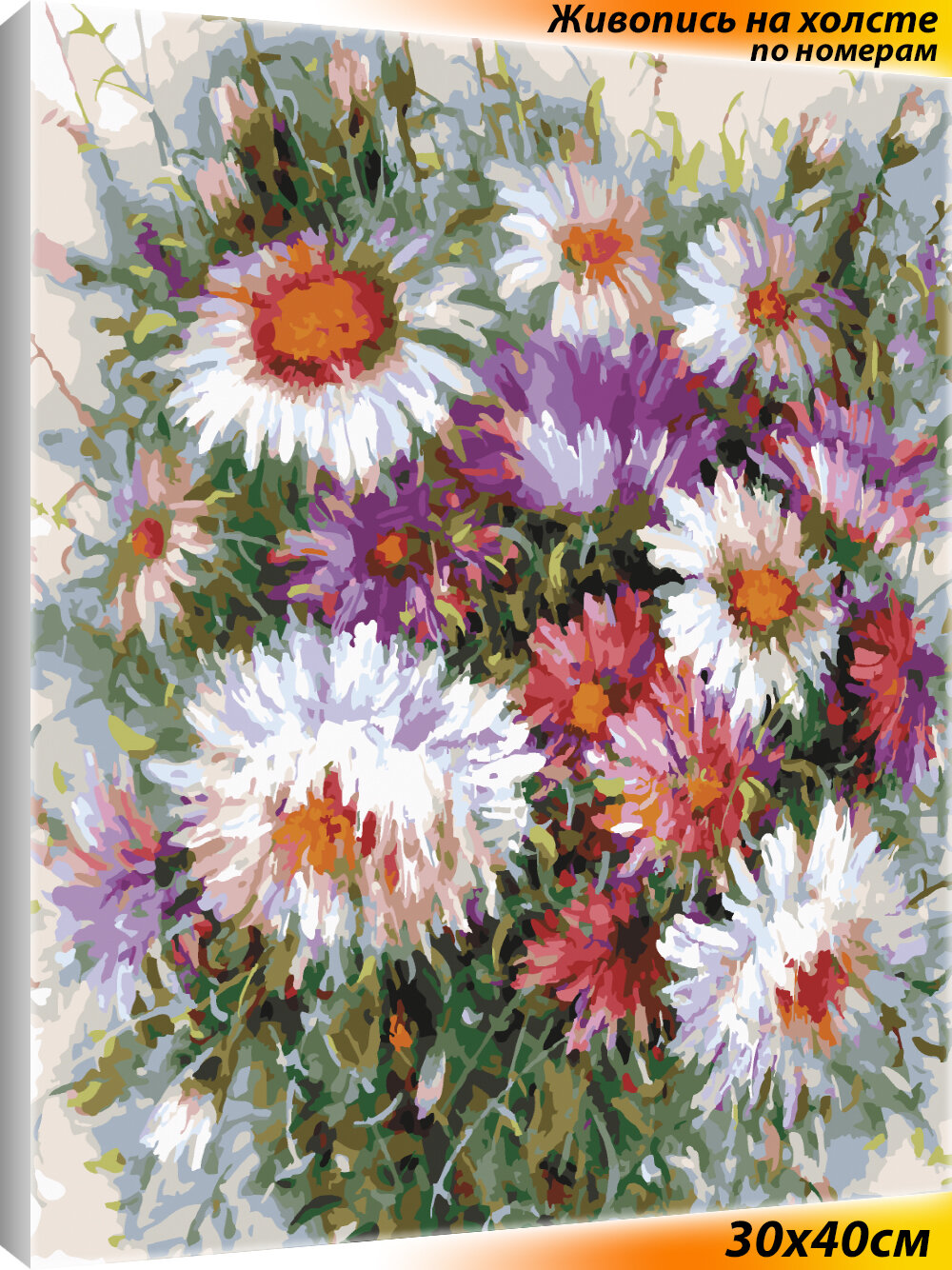Картина по номерам Белоснежка "Астрочки" / Раскраска / Холст на подрамнике 30х40 см. / Цветы