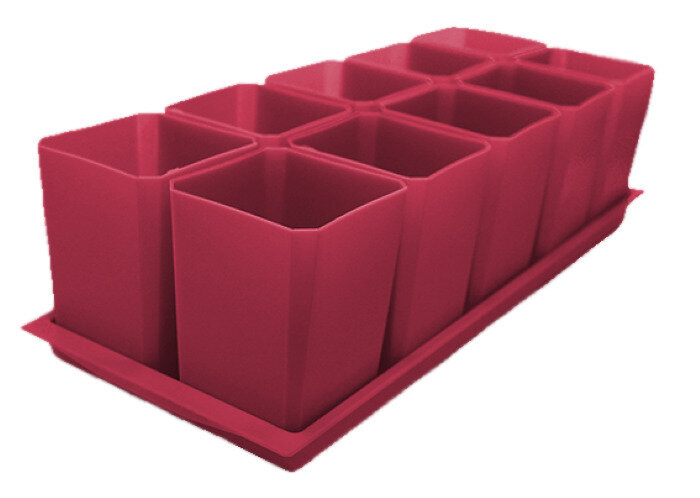 Горшки для рассады и цветов, набор из 10 горшков по 750 мл и поддона, Фр Роза