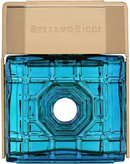 Stefano Ricci Baku 100 мл, парфюмерная вода Унисекс