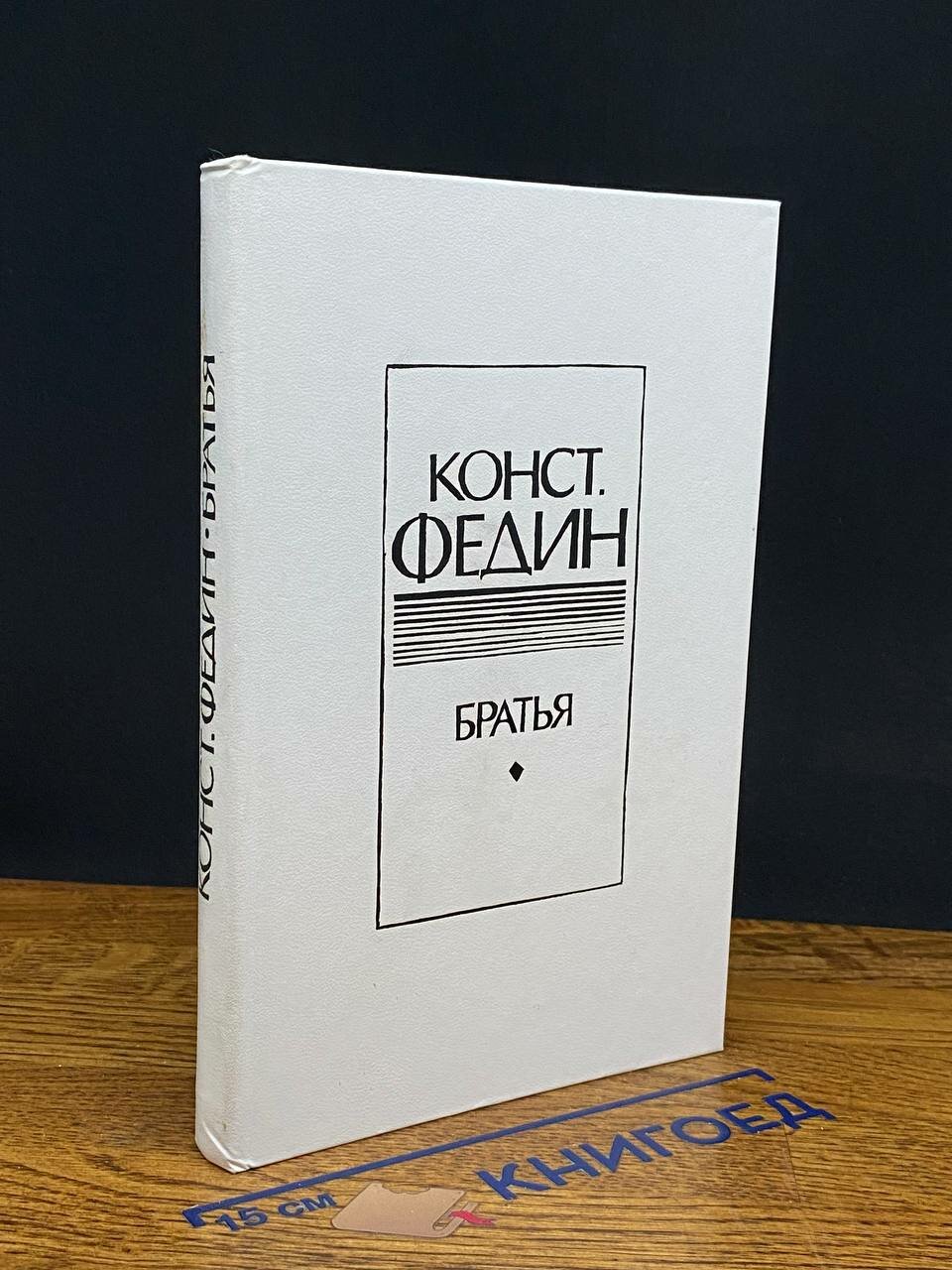 Книга. Братья 1989 (2041345982918)