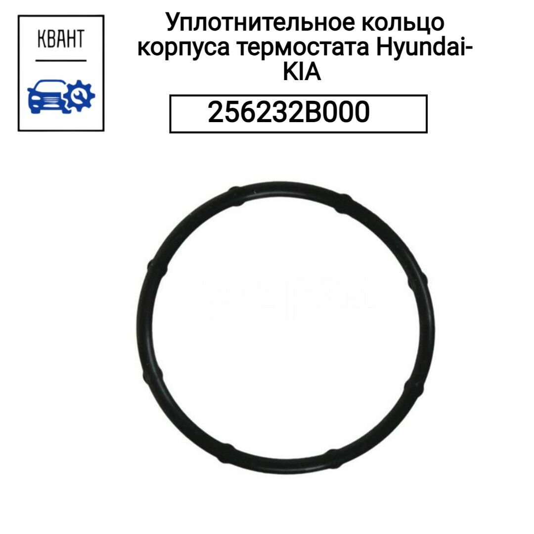 Уплотнительное кольцо корпуса термостата Hyundai-KIA 256232B000