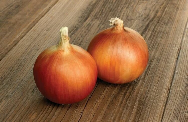 Коллекционные семена лука репчатый Темптэйшен F1