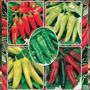 Коллекционные семена перца острого Пламя - смесь сортов (4 вида)