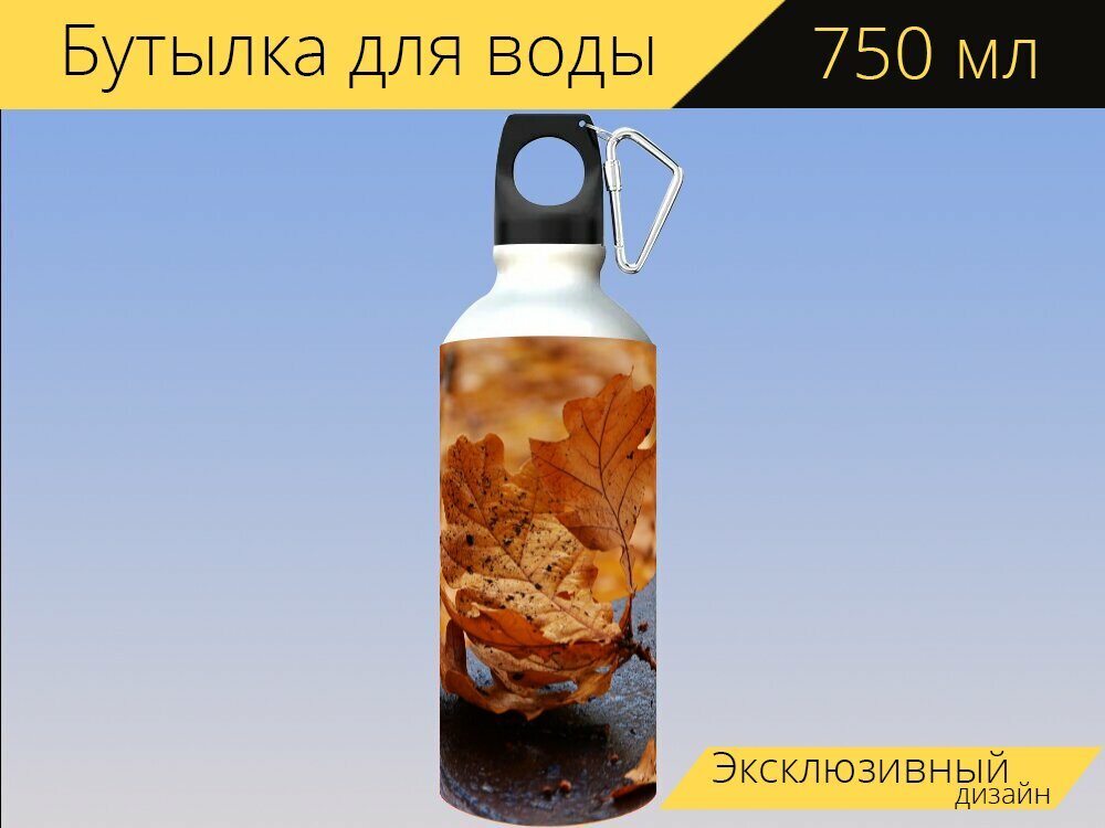 Бутылка фляга для воды "Осенний лист, дубовый лист, листопад" 750 мл. с карабином и принтом