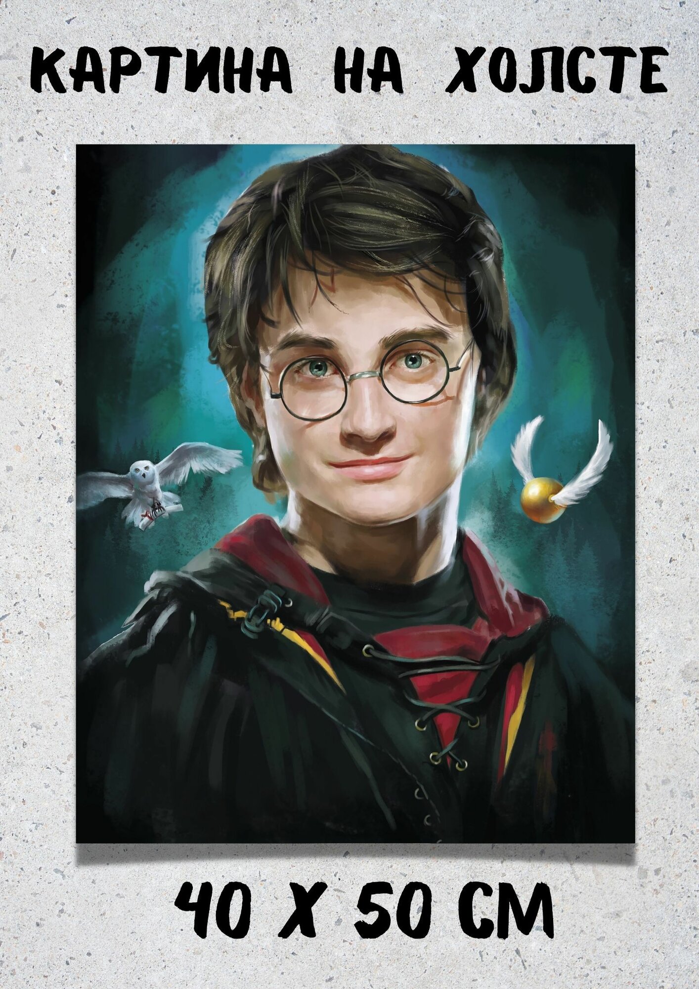 Картина с портретом Гарри Поттера на холсте 40х50