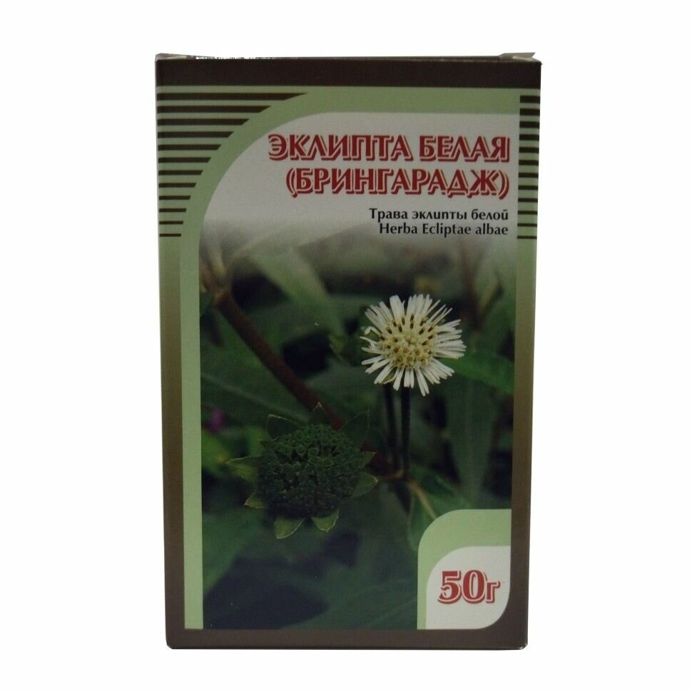 Эклипта белая трава (брингарадж) 50 гр