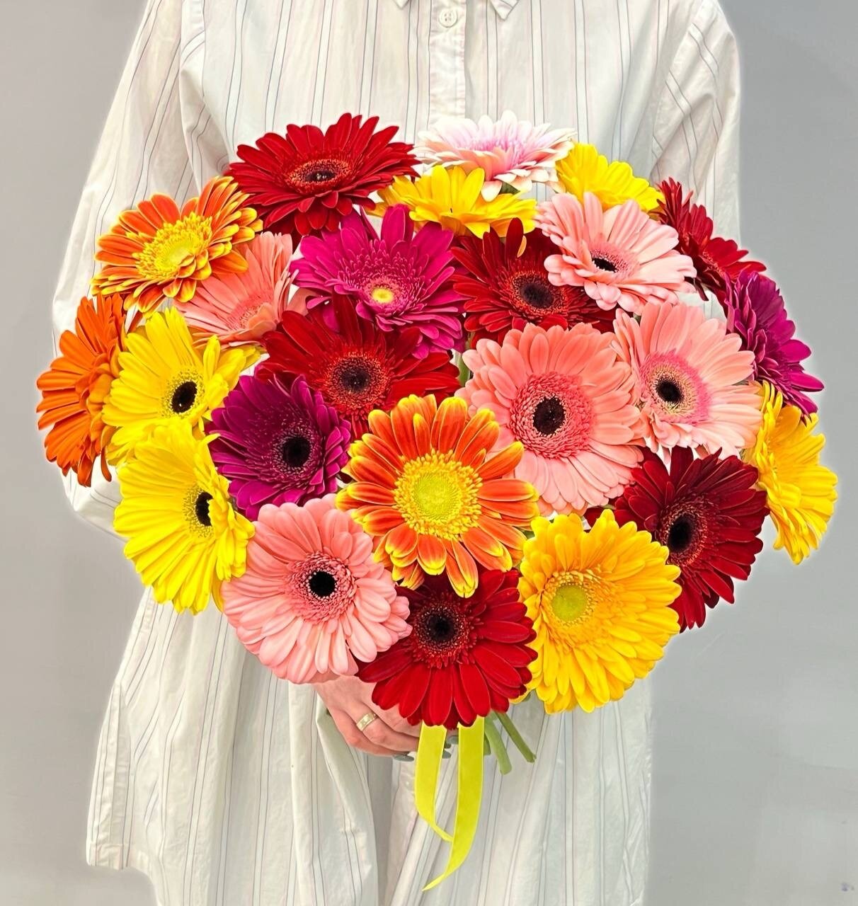 Букет из гербер «Фрутелла» - 21 шт