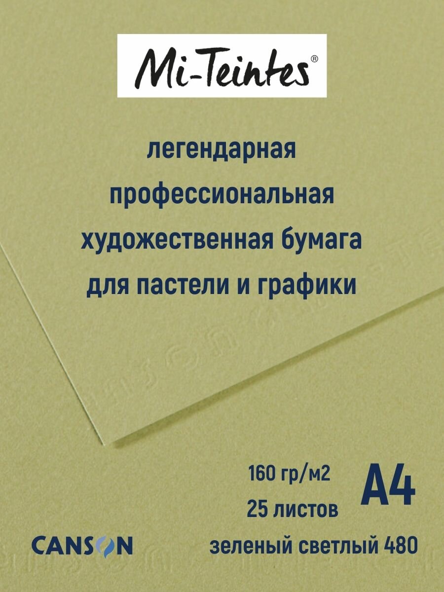 CANSON Mi-Teintes бумага для пастели 160 г/м2, 25 листов A4 21 х 29.7 см, №480 Зеленый светлый C31032S022