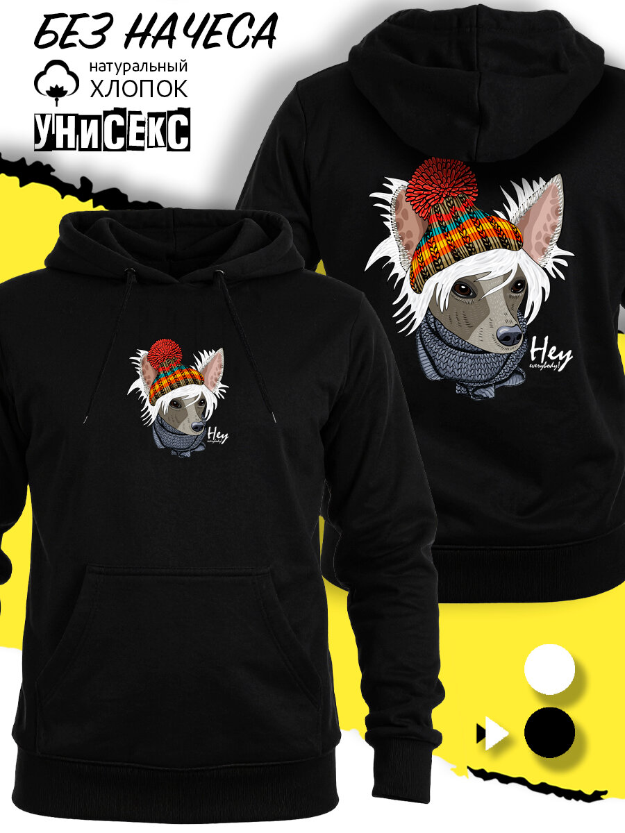 Худи Толстовка свитшот китайская хохлатая собака hey
