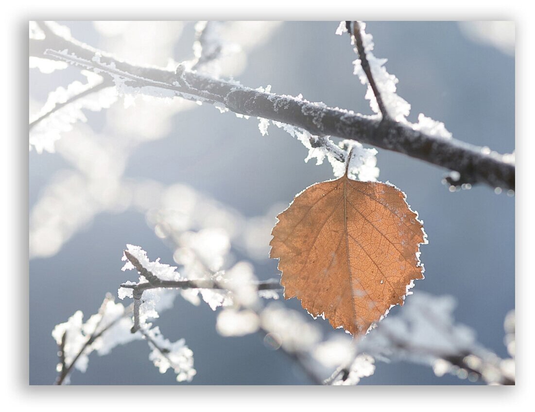 Гравюра Постер на бумаге / Winter / Зима